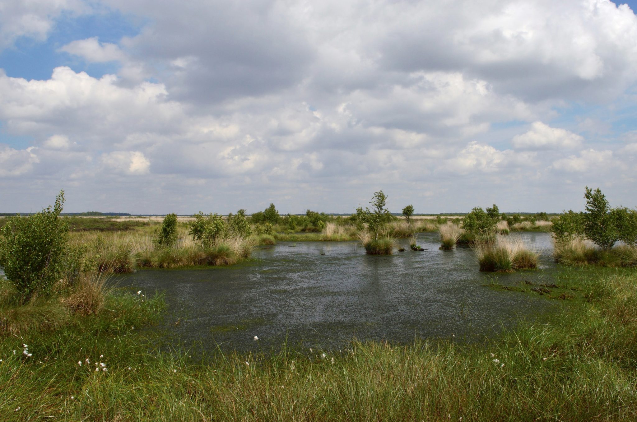 Moorwelten – Ausstellung – Klimagarten – Bistro